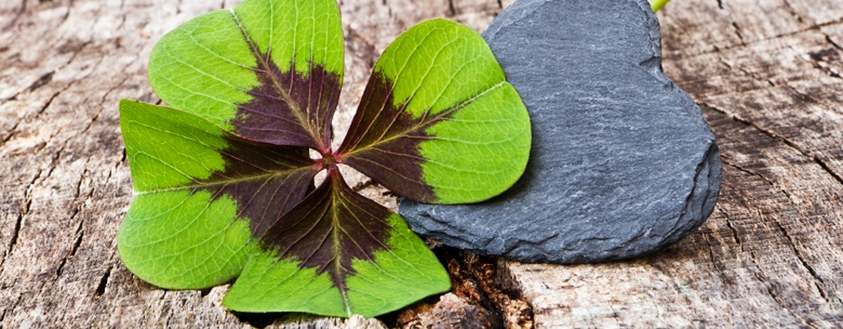 Was ist Glück? Finde deine persönliche Freiheit - mkk